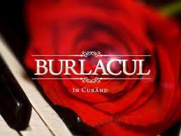 Burlacul Sezonul 4 - Concurente - Burlacul