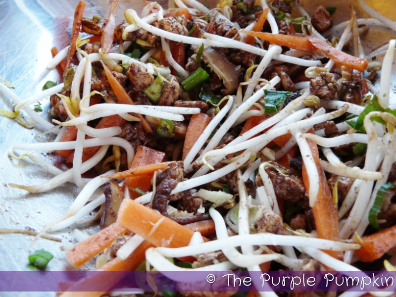 Chicken and Vegetable Spring Rolls