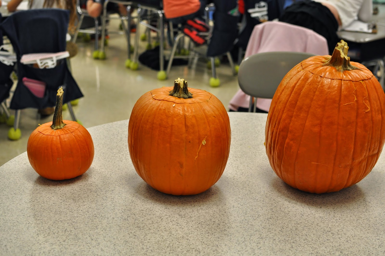 The Wanderlust Teacher: How Many Seeds in a Pumpkin?