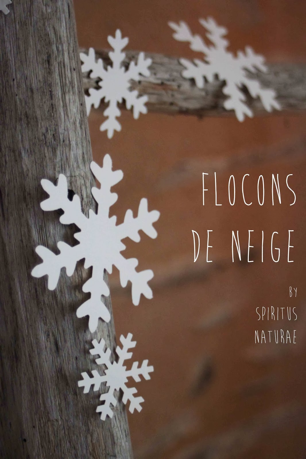 Spiritus Naturae: Envolée