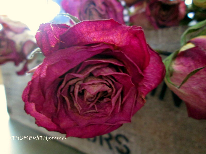 DIY-Drying Roses - At Home with Jemma