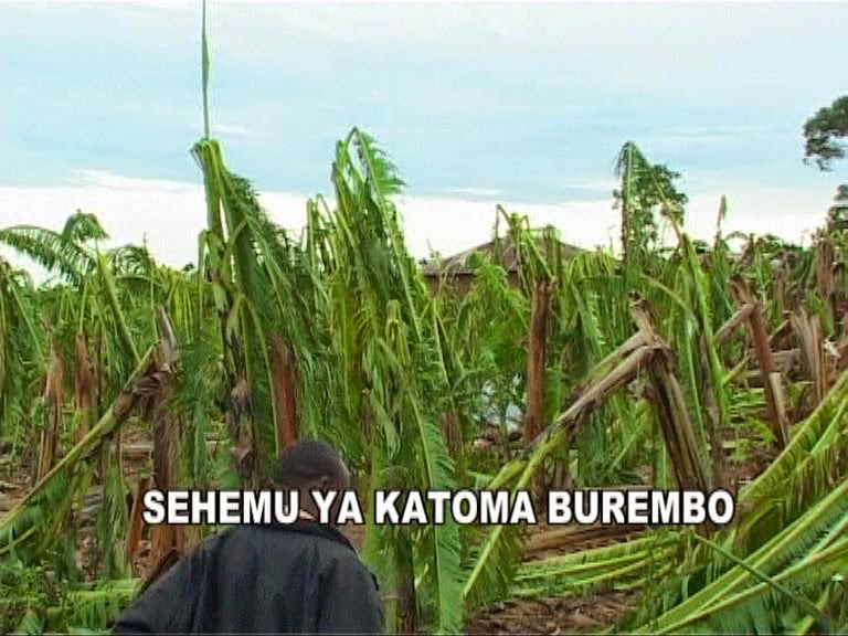 KISIMA CHA FIKRA: Maafa Kamachumu