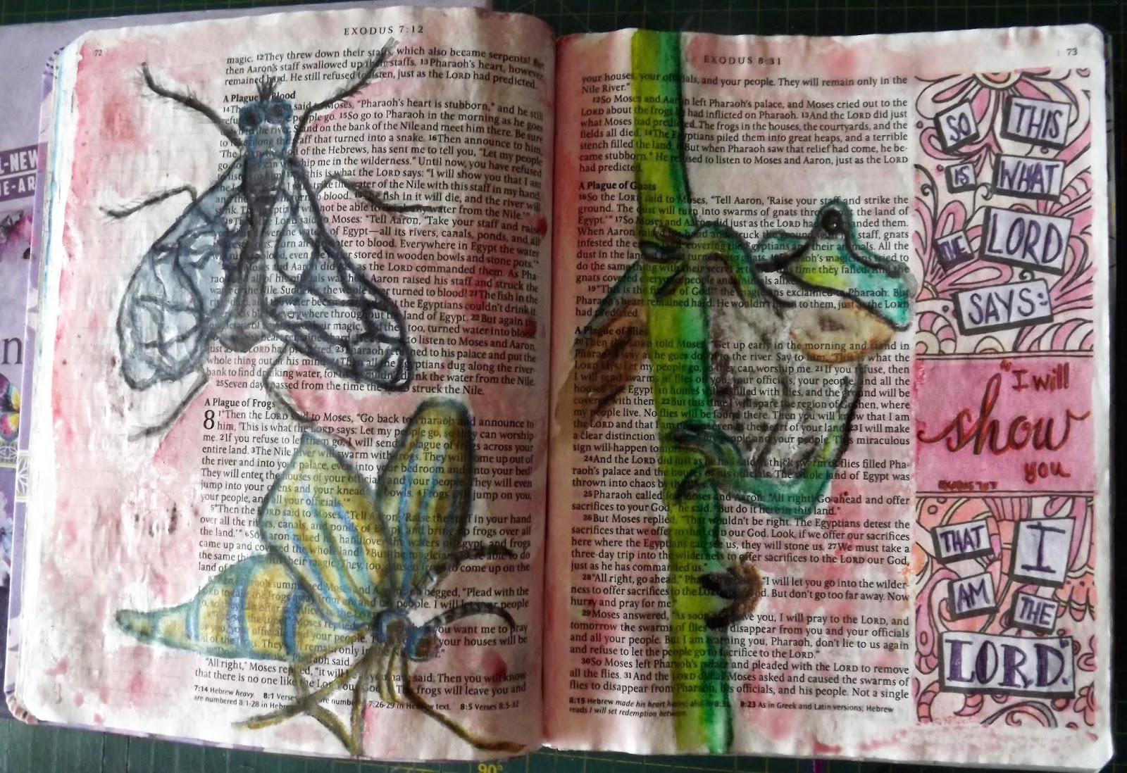 Bybel Legkaart: Bible Journaling - Exodus 8
