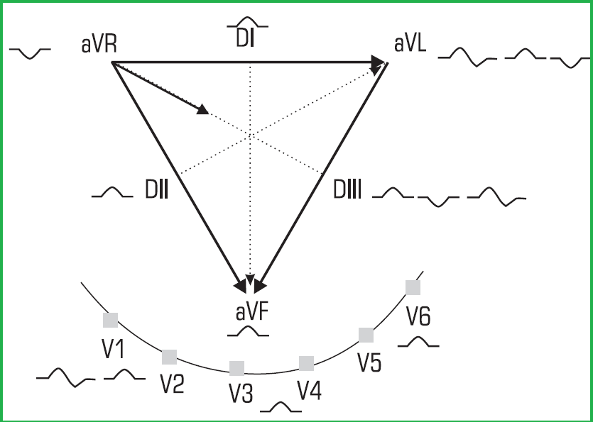 Siempre Estudiando Medicina- El Reto que nunca termina ...