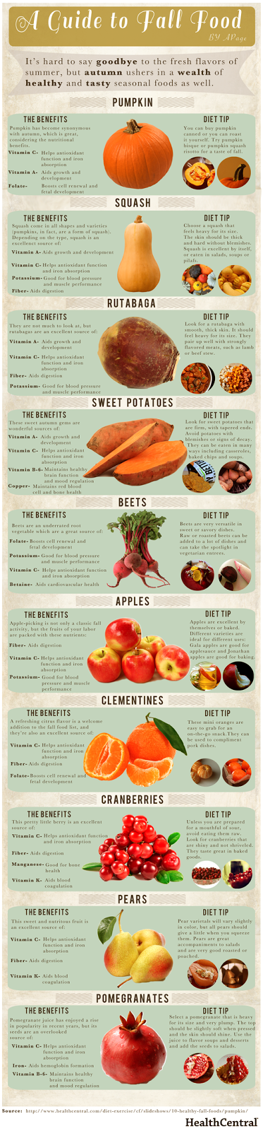 Fall Fresh Foods Infographic | Big Picture Agriculture