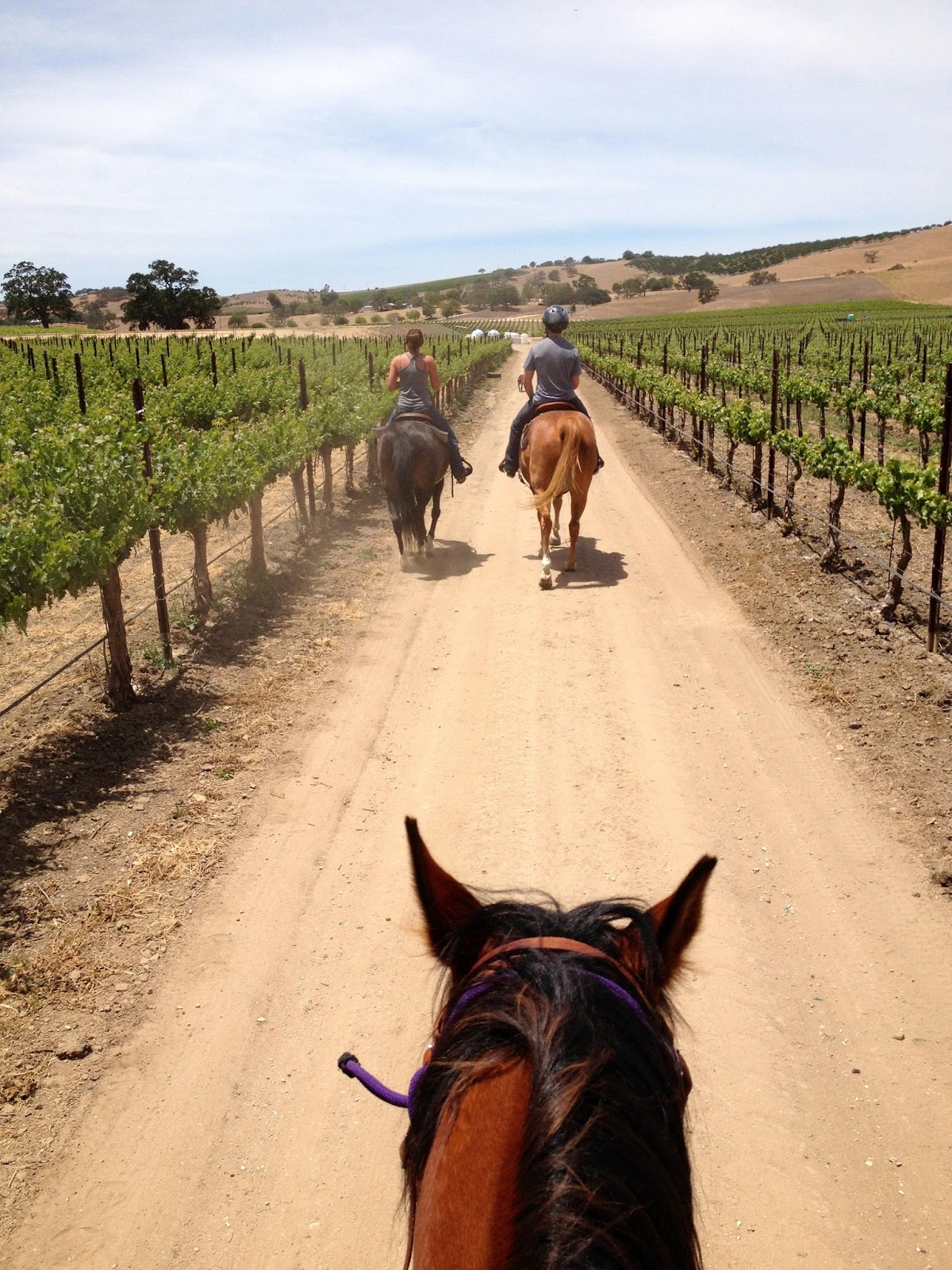 deliciously organized: + IT'S WARMING UP!