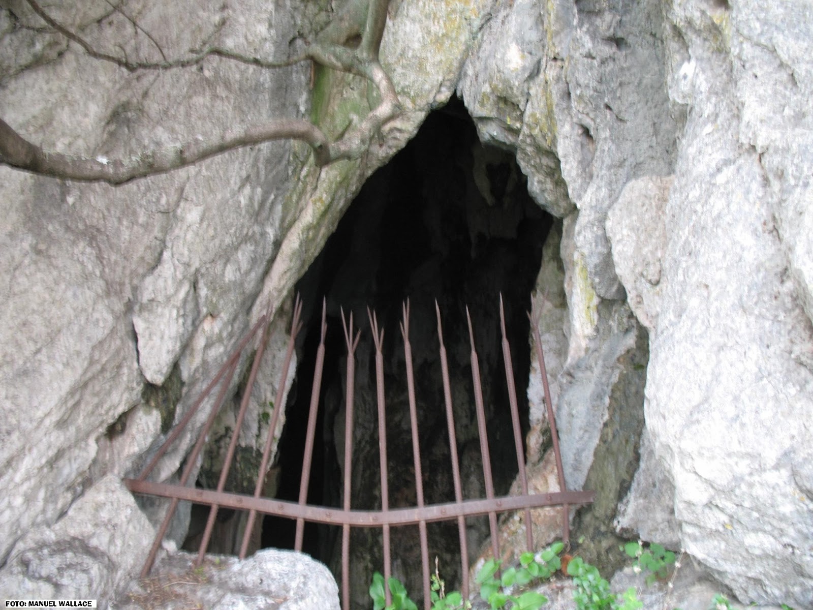 Ecosistemas subterráneos: La fauna de la cueva de La Pileta en Benaoján ...