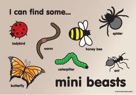 Teaching Resource - Minibeasts Bugs Insects KS1 EARLY YEARS INFANT ...