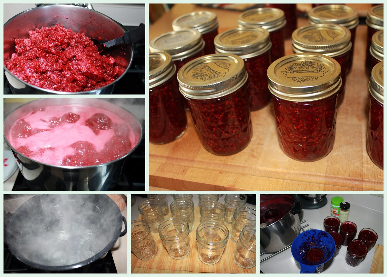 SunShine Sews...: Raspberry Jam