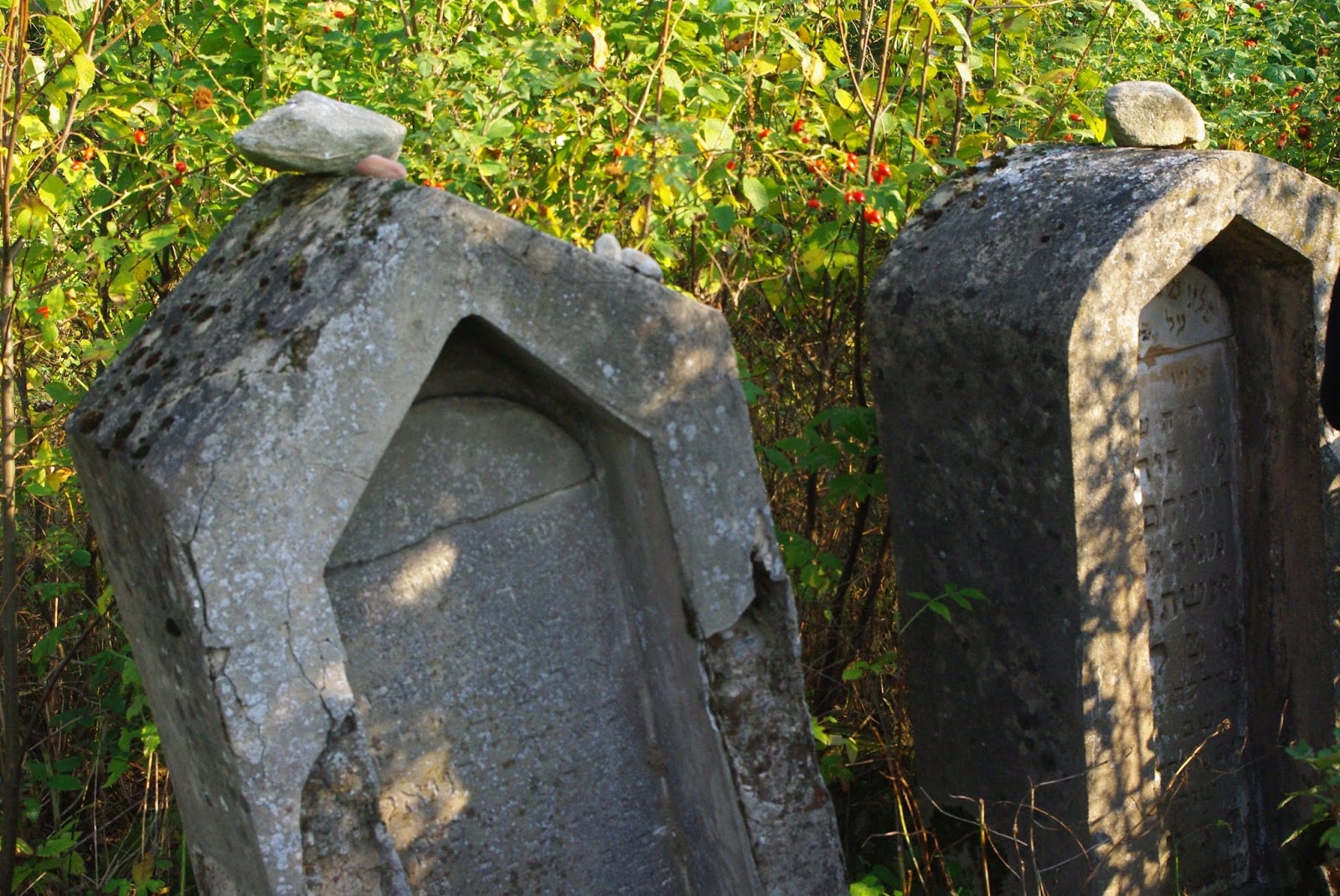 Spod Psiej Górki - moje podróże, ciekawe wydarzenia i nie tylko to ...