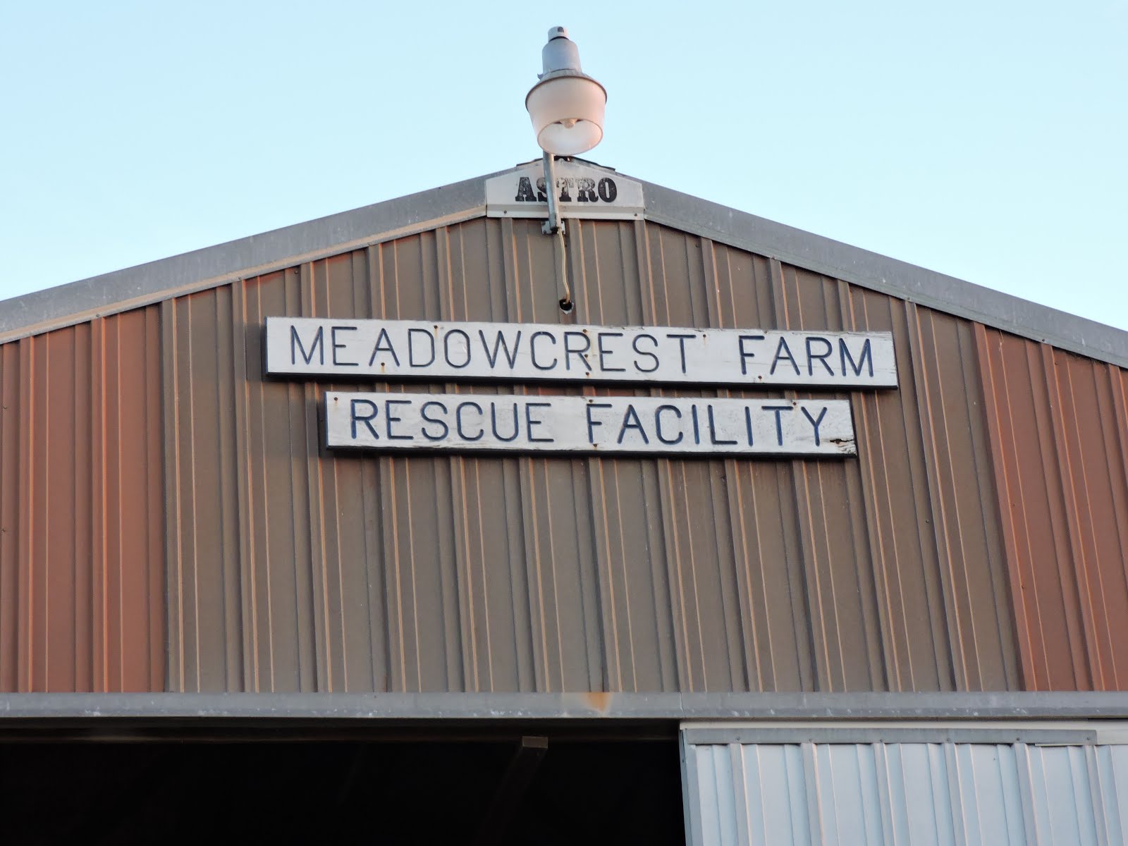 Pretty In Pink... Perfect In Paisley!: In This Life You Will Learn ...