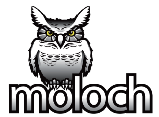 Moloch, el wireshark via web de AOL para forenses de red ~ Security By ...