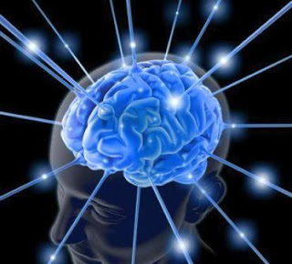 Kekeliruan logika | Dewi Ilmu