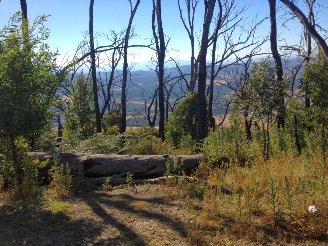Trails and Tracks: Mason Falls Circuit, Kinglake National Park ...