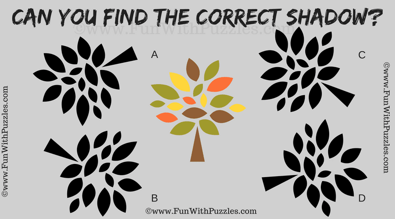 Shadow Picture Riddle: Brain Teaser for Adults with Answer