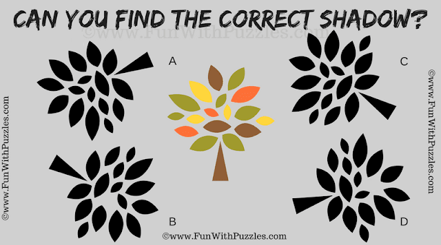 Shadow Picture Riddle: Brain Teaser for Adults with Answer