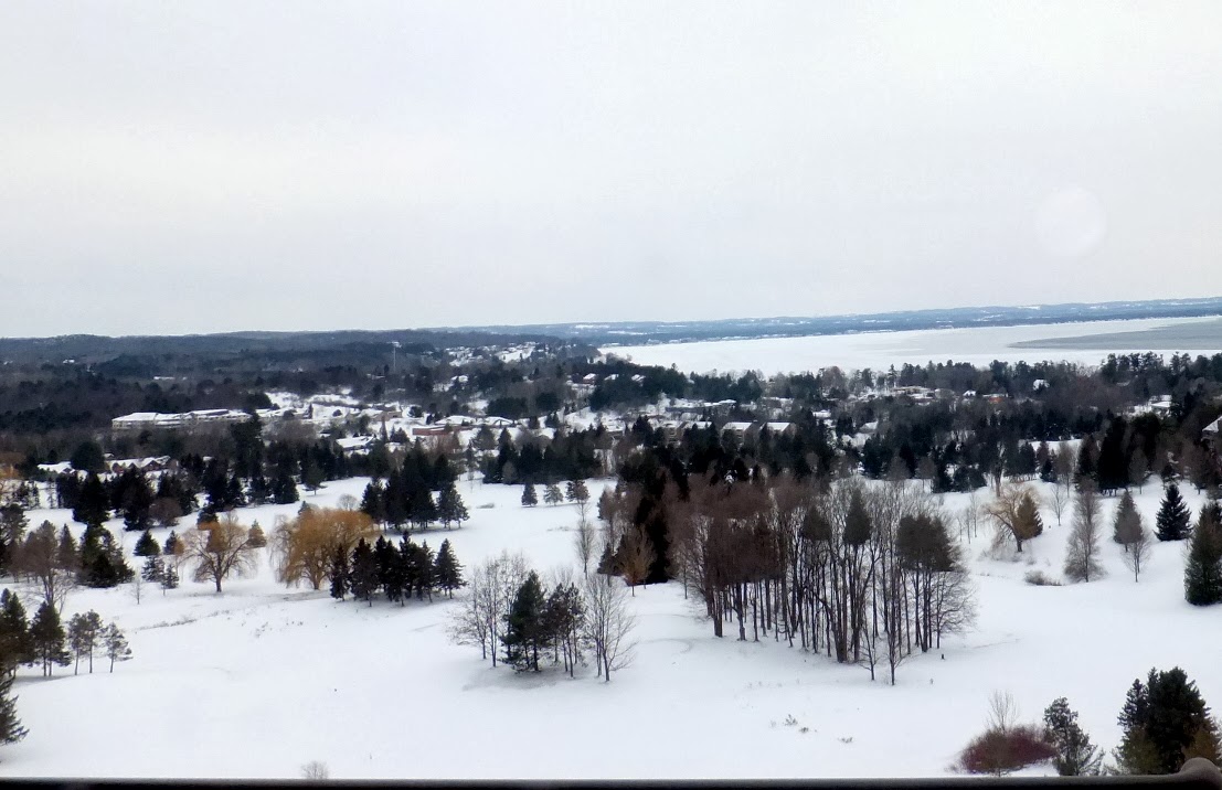 Alpine Township Website Companion: Michigan Township Association ...