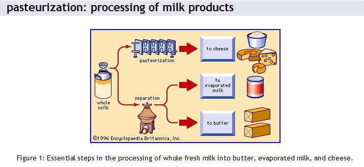 S T R A V A G A N Z A: CONDENSED AND DRY MILK