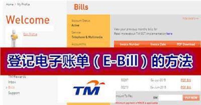 申请TM电子账单，节省额外费用