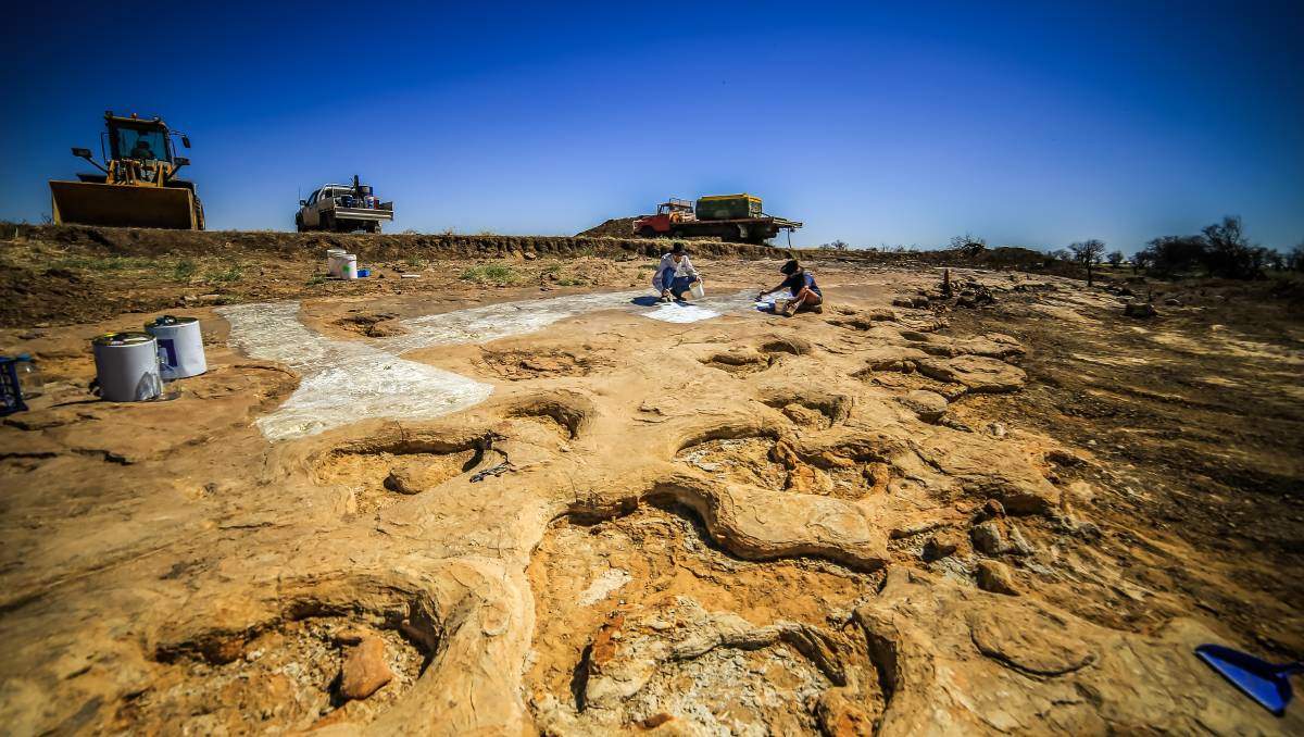 Giant Dinosaur Trackway Discovered In Queensland giant-dinosaur-trackway-discovered-in-queensland