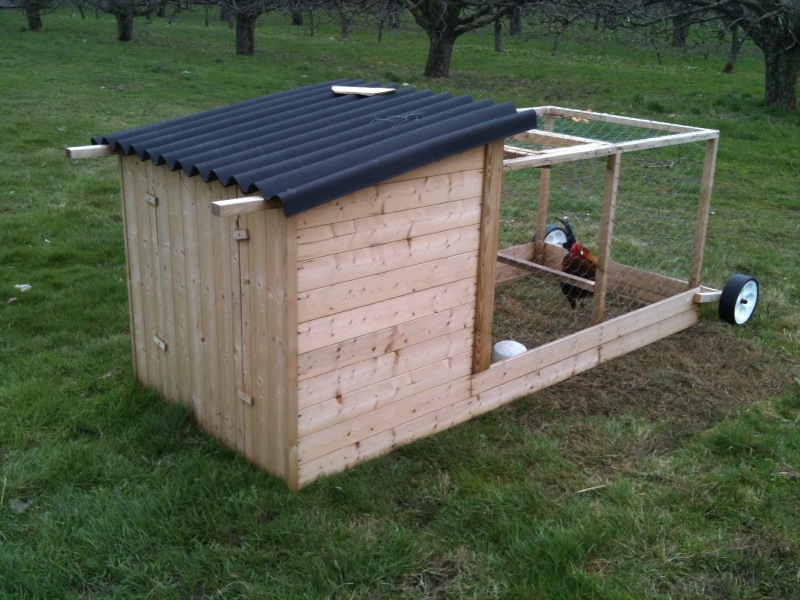 The Chicken Daily: Moveable Chicken House
