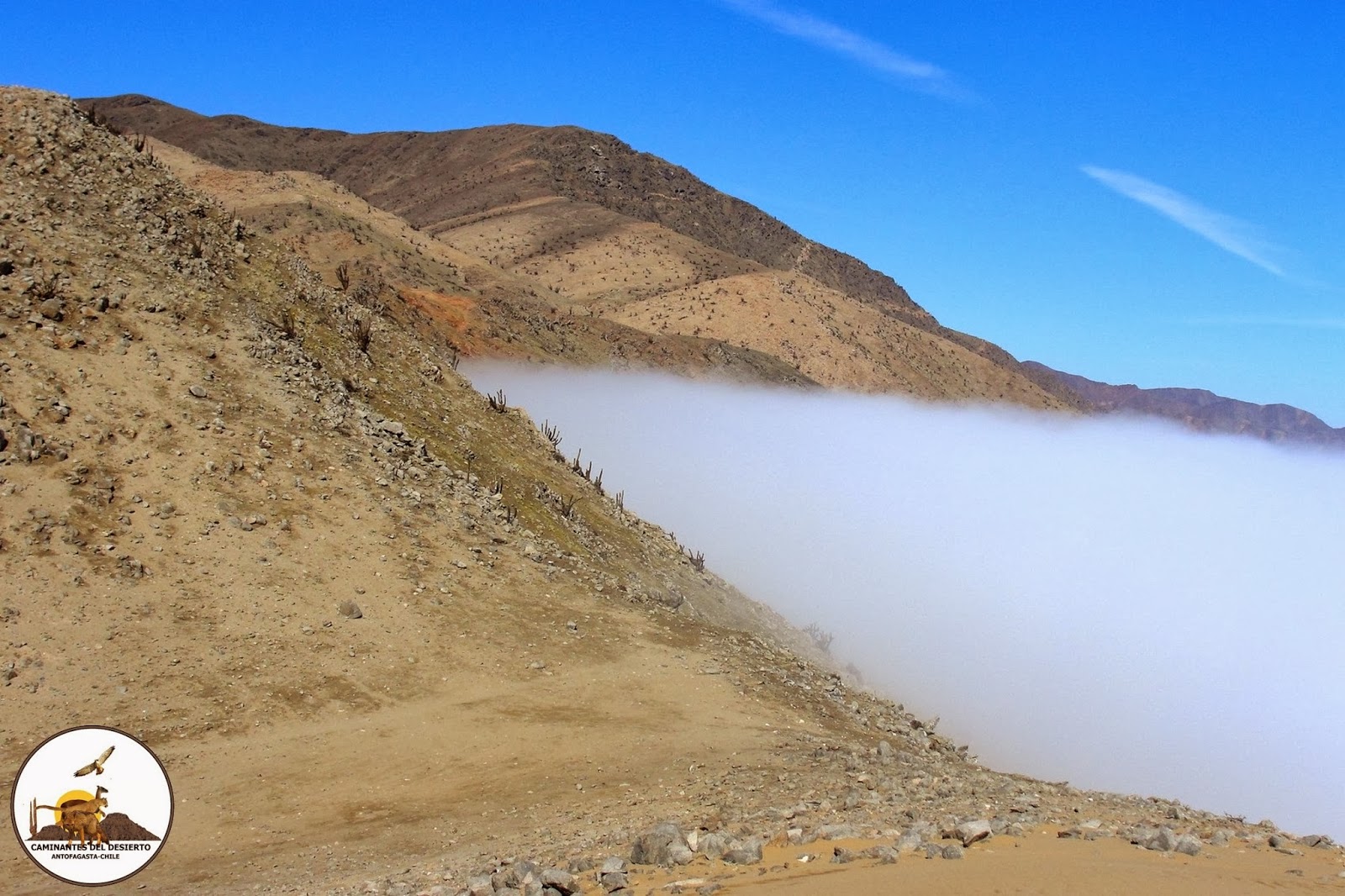 Caminantes del Desierto: LA CHIMBA EN SUS INICIOS