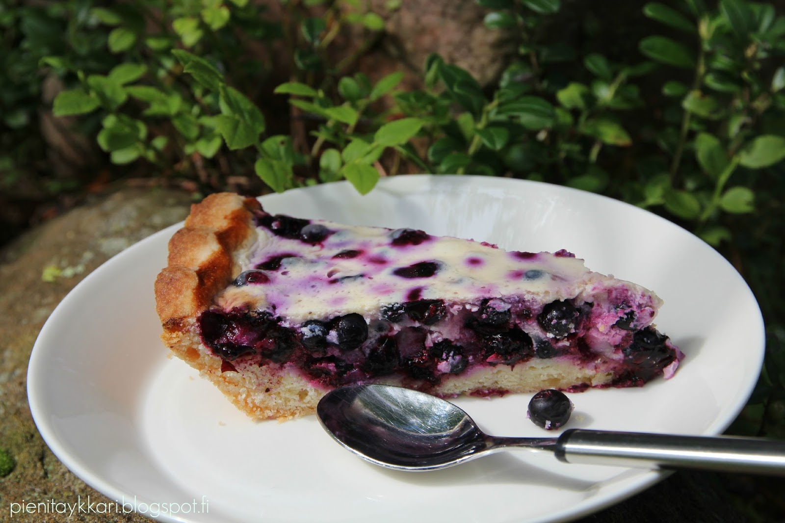 Täykkäri: Mustikka-rahkapiirakka