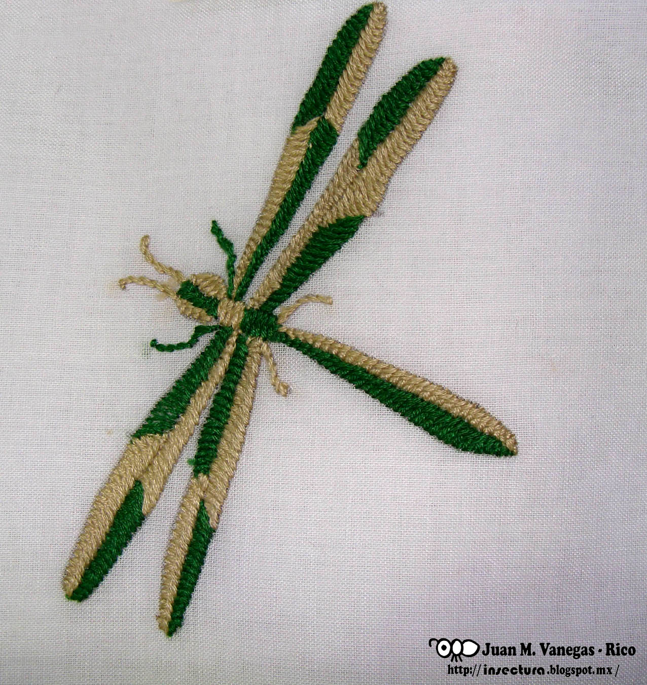 INSECTURA: Imagenes de insectos en textiles de Hidalgo
