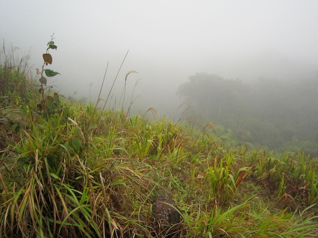 Seiklused ja jutud: Siil udus