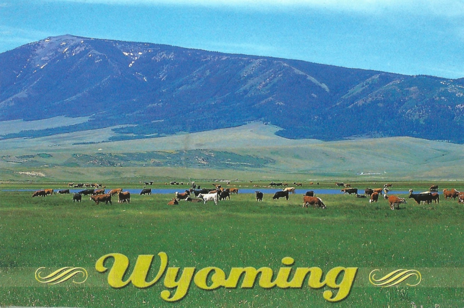 My Favorite Views: Wyoming - Elk Mountain