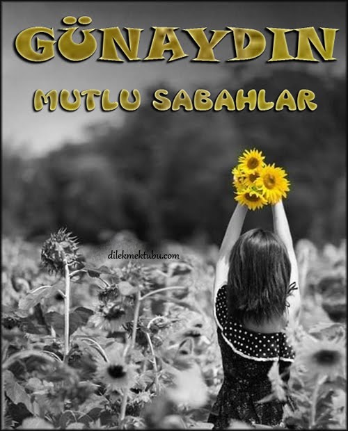 Mutlu Sabahlar - Dilek Mektubu