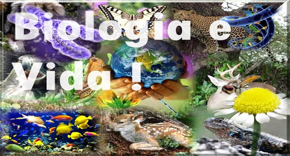 Educação na Biologia x Filosofia da Ciência: Significado de Biologia