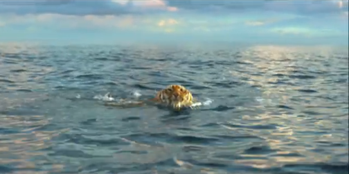 Life Of Pi Tiger Swimming