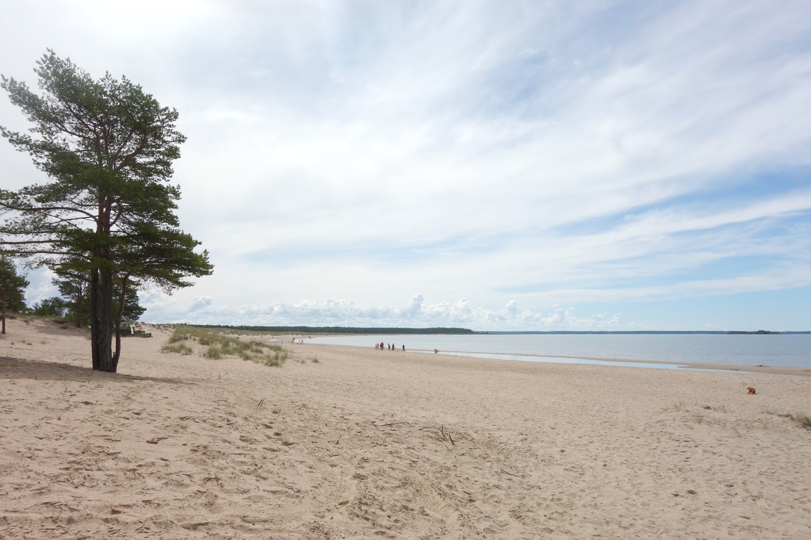 ZUBI'S CORNER: Pori TOP 5 lapsiperheille