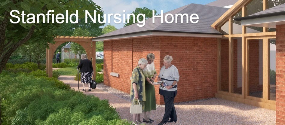 Stanfield Nursing Home: Project Team