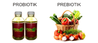 Penjelasan Singkat Tentang Perbedaan Probiotik dan Prebiotik | Majalah ...