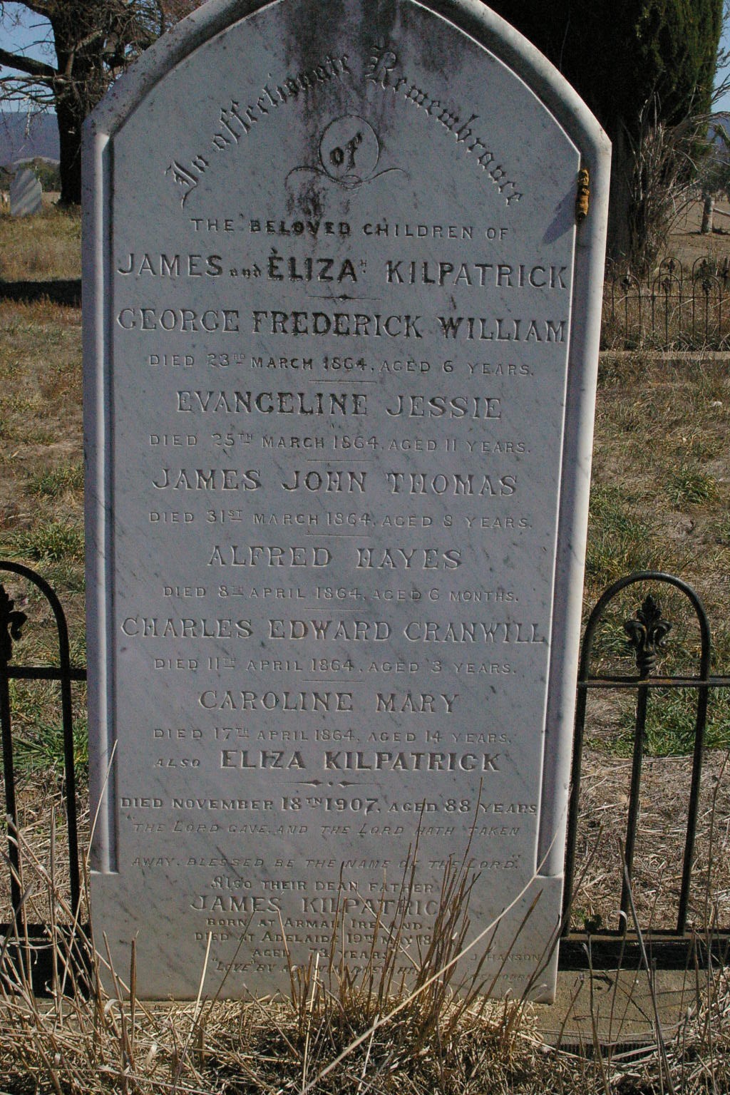 The Kilpatrick and Cranwill Families from Dublin and Ballycanew ...