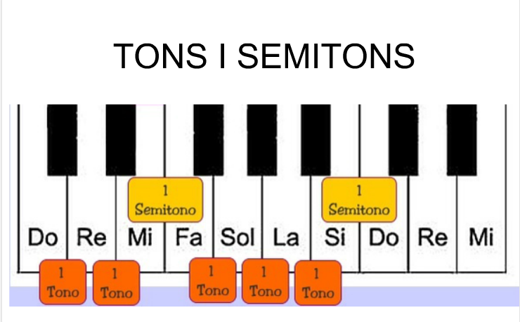 MusicAppSelvatges: Tons i semitons del piano