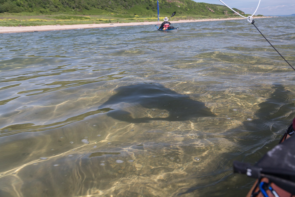 Sea kayaking with seakayakphoto.com: The clear water allowed us to ...