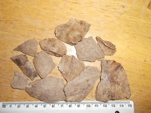 HISTORY OF A BECK: Human skull fragments excavated