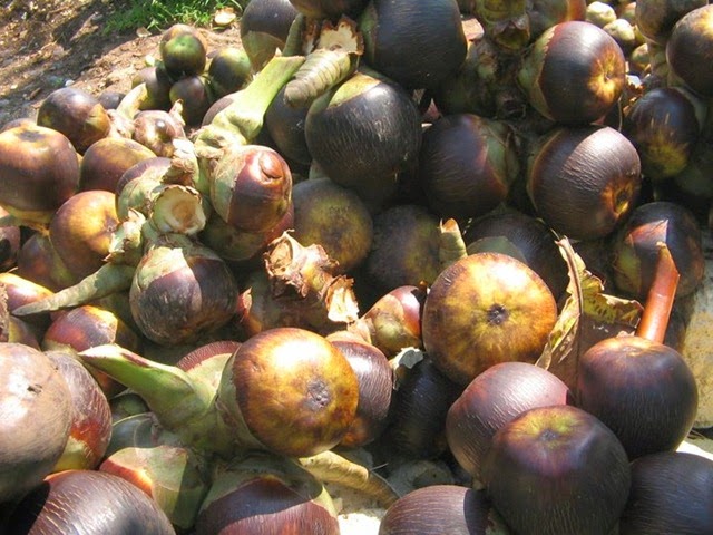 Cara Membuat Es Dawet Siwalan - Resep Es Dawet Siwalan Segar - RESEP ...