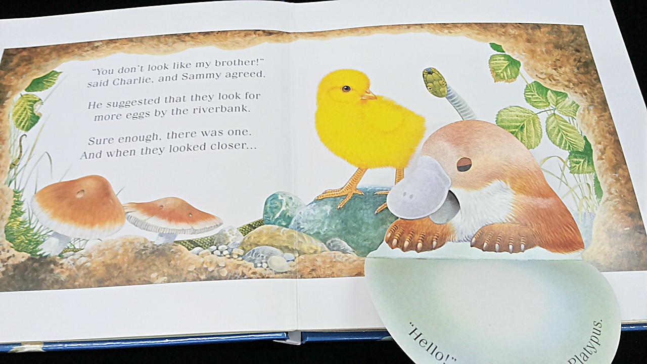 Kid Books Blog: 14.An Adventure with Charlie Chick