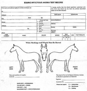 The Mane Point: Let's review the Coggins Test and Equine Infectious Anemia.