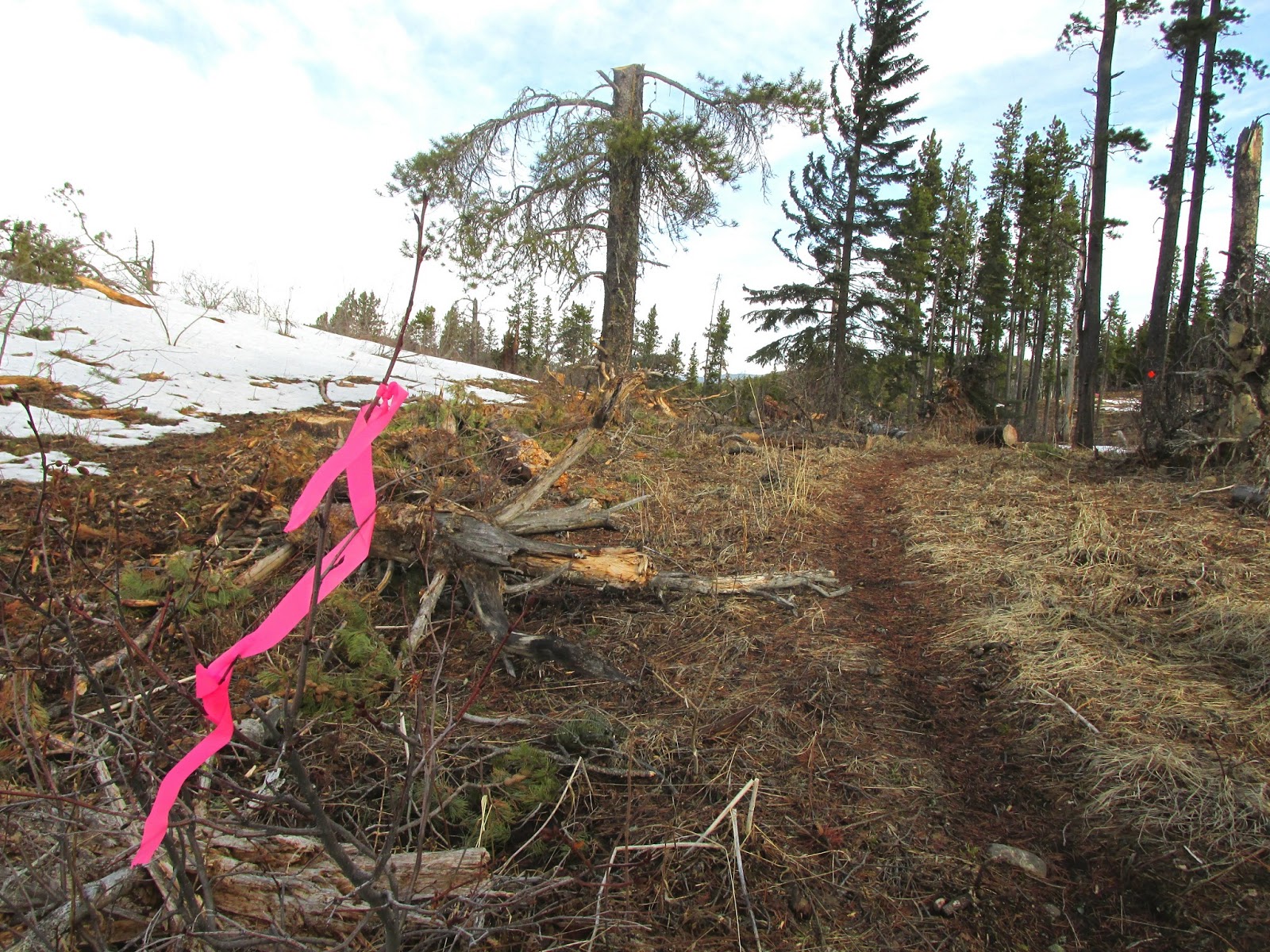 The Passionate Hiker: Long Distance Trail: Logging Pictures