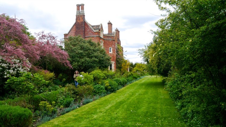 Childerley Hall Siesta Fiesta Food Festival. - Lux Life London