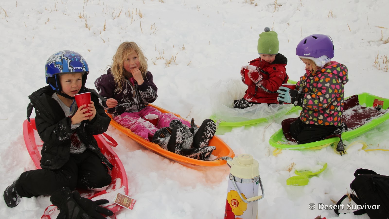 Desert Survivor: Sunny Sledding