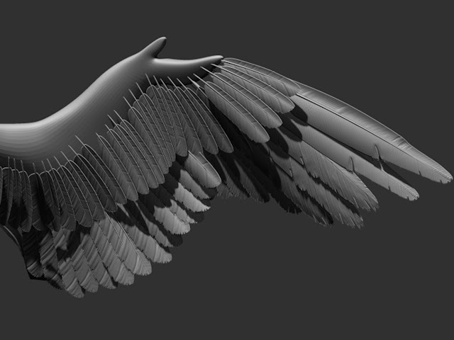 Darya Girina Zbrush Endless Way: Modelling bird feather and wings ...