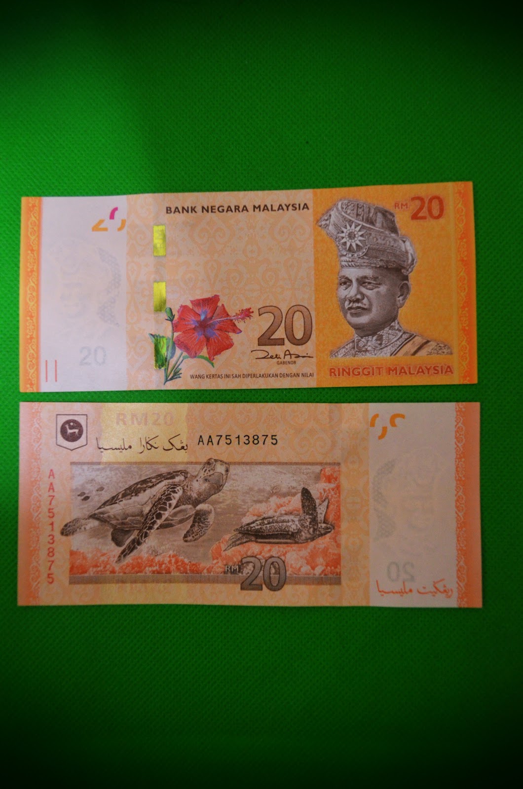 FANTASI disebalik REALITI: Duit Kertas Baru dalam tangan