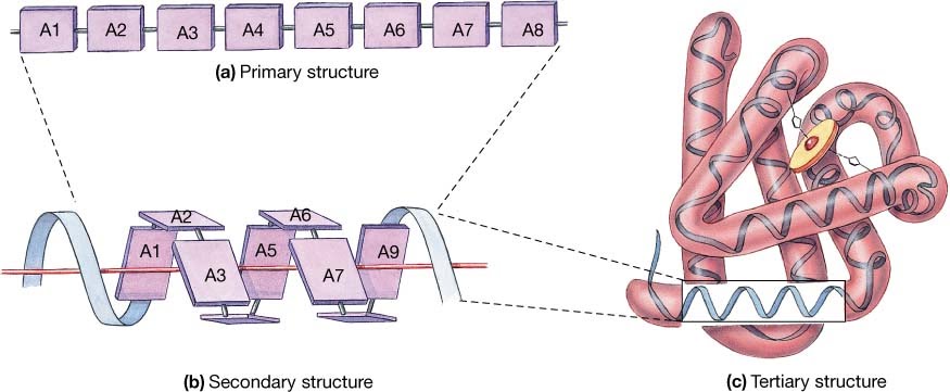 Bioremediation Group Laguna: Breaking the 'lock-and-key' model paradigma