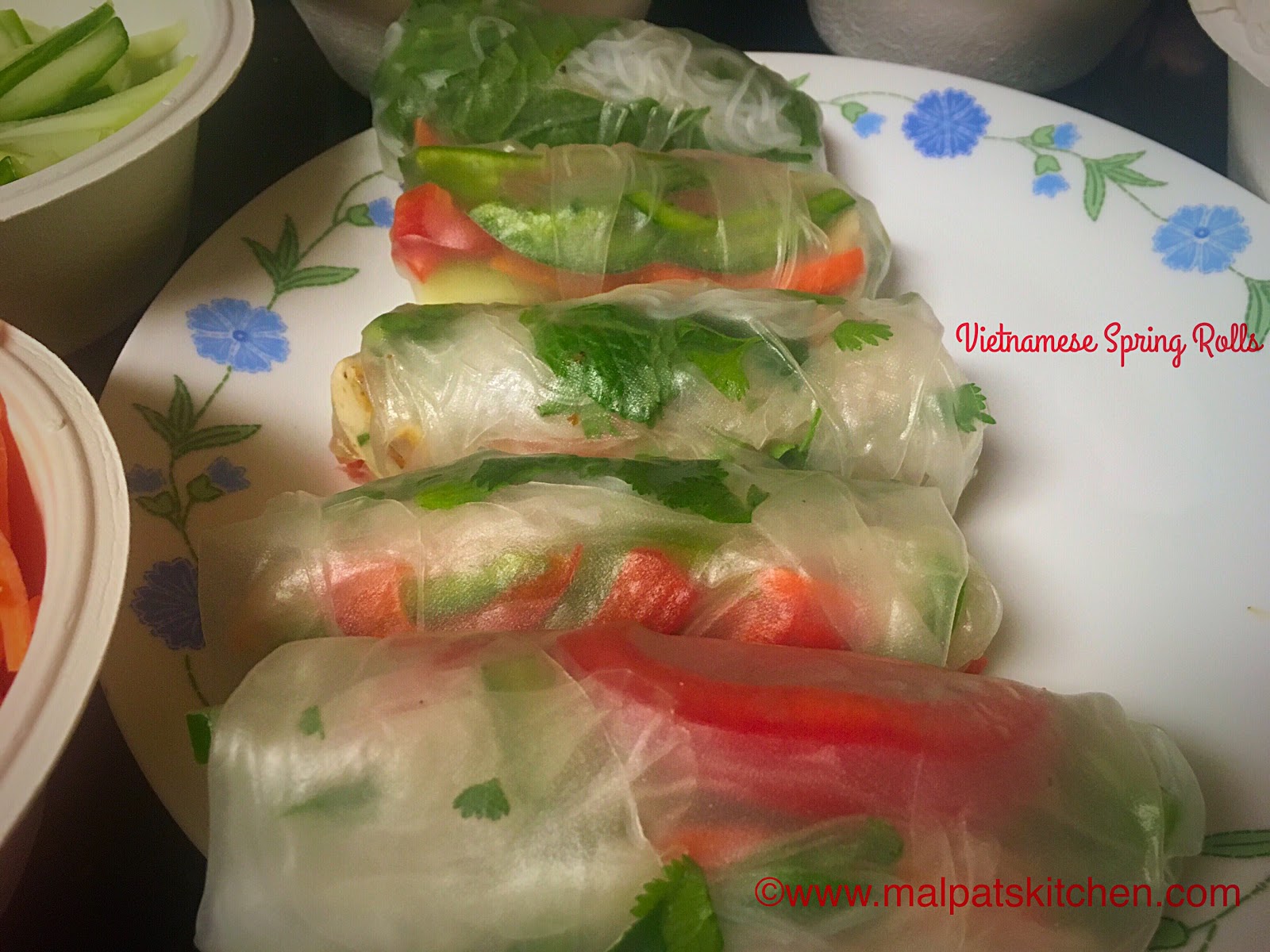 VIETNAMESE SPRING ROLLS (fresh spring rolls) ~ Malpats Kitchen